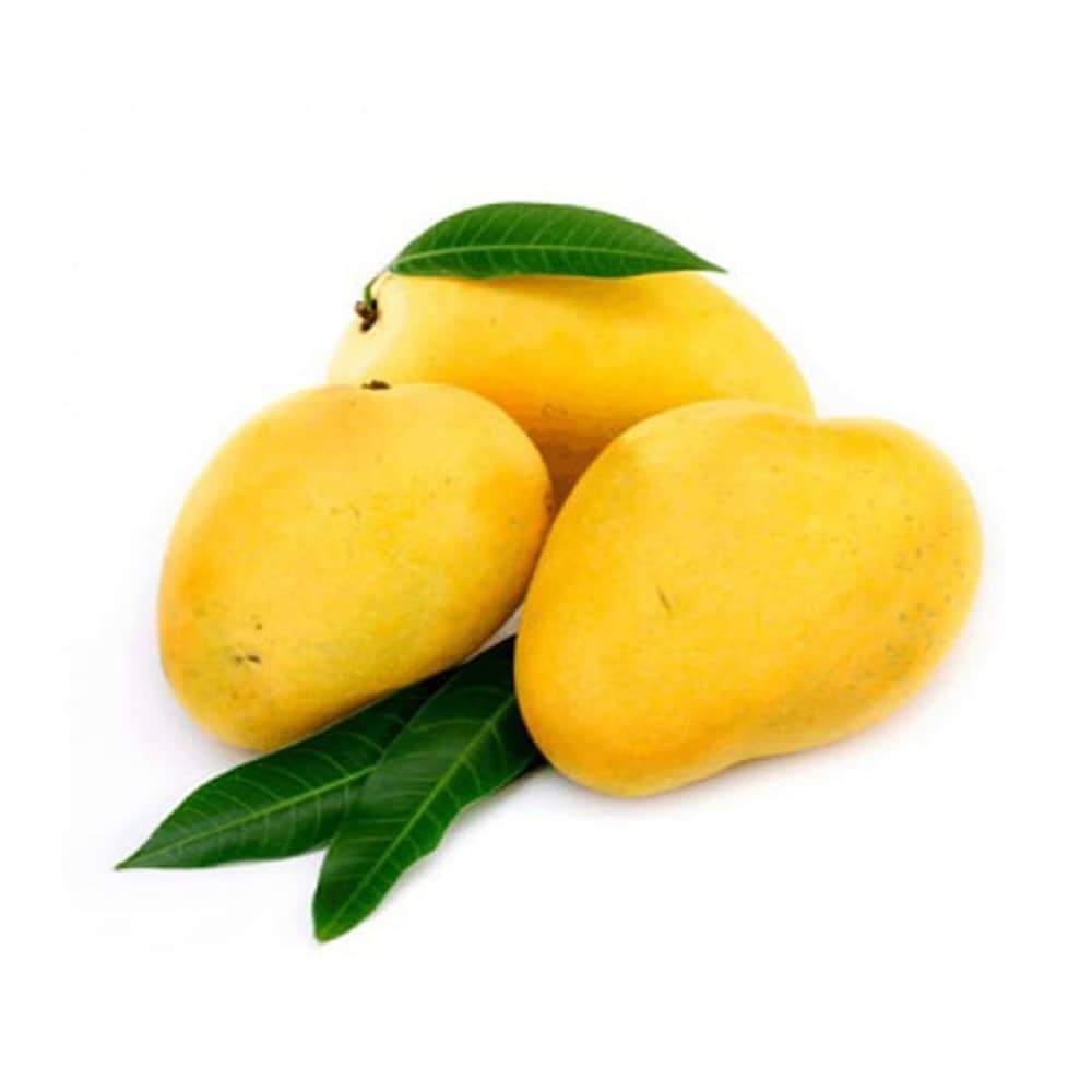 Buy Mango Badami 1kg – India Online in UAE | Sharaf DG