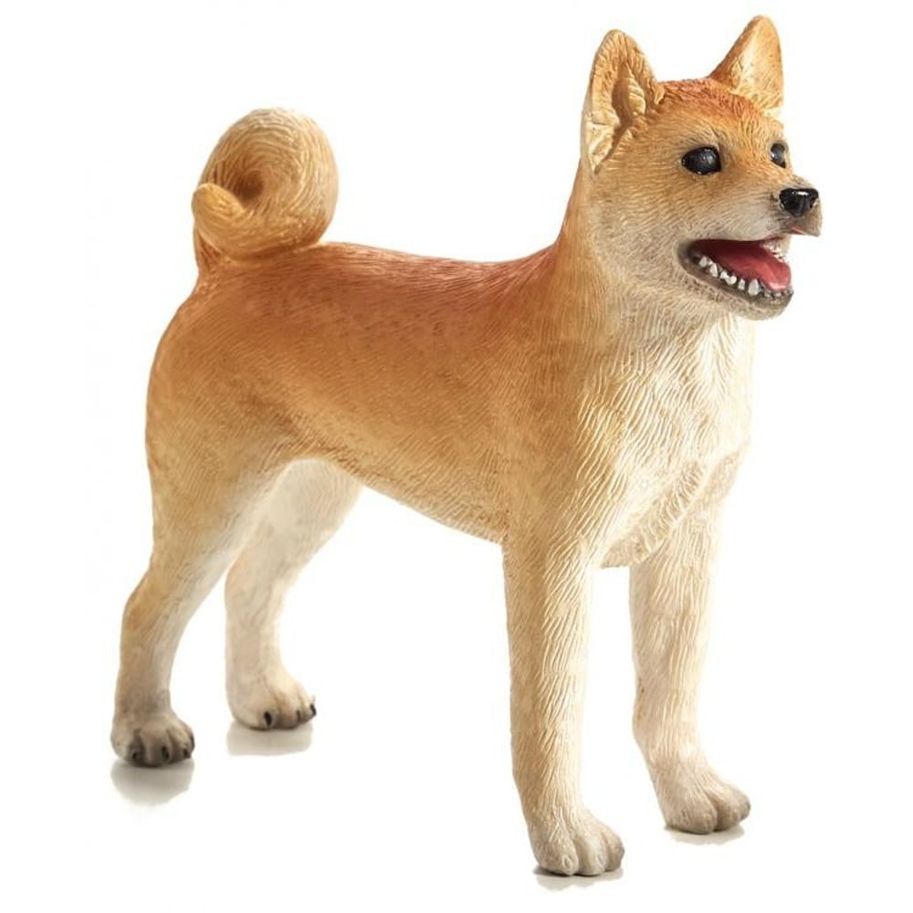 اشترِ Mojo Shiba Inu عبر الإنترنت في الإمارات العربية المتحدة | شرف دي جي