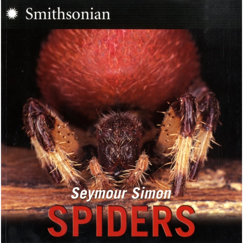 Spiders price in Bahrain, Buy Spiders in Bahrain.