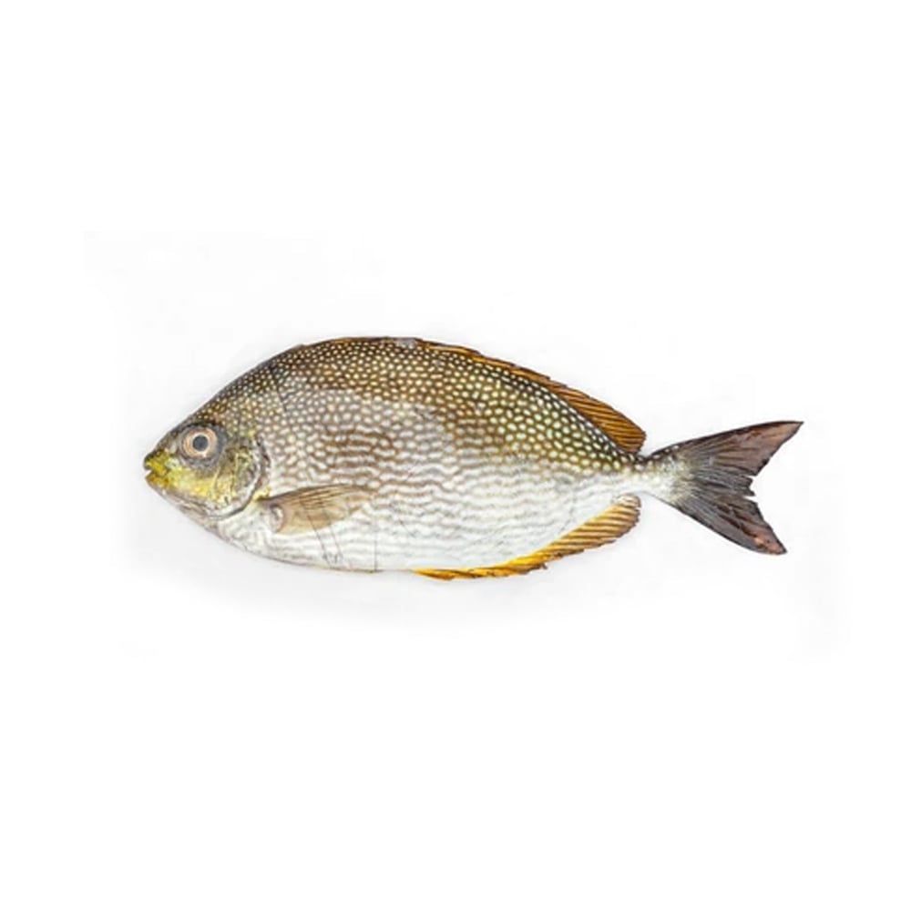 اشترِ Wild Safi / Omani Fish/ Whole Cleaned 500g عبر الإنترنت في ...