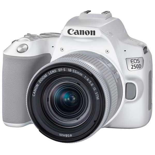 Buy Canon EOS 250D DSLR Camera With EF-S 18-55mm f/4-5.6 IS STM Lens ...