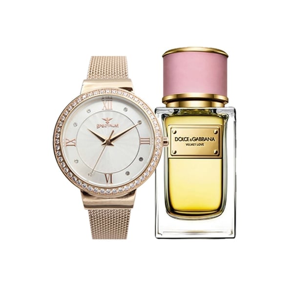 Buy Spectrum Creative Mesh Band Women’S Rose Gold Watch – S25177L-4 ...