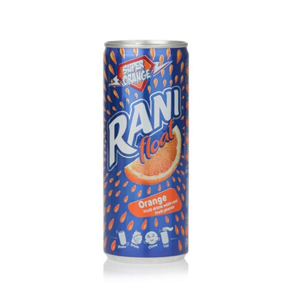 Buy Rani Orange Fruit Drink 240ml Online in UAE | Sharaf DG