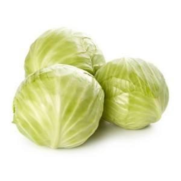 اشترِ White Cabbage Iran 1kg عبر الإنترنت في الإمارات العربية المتحدة ...