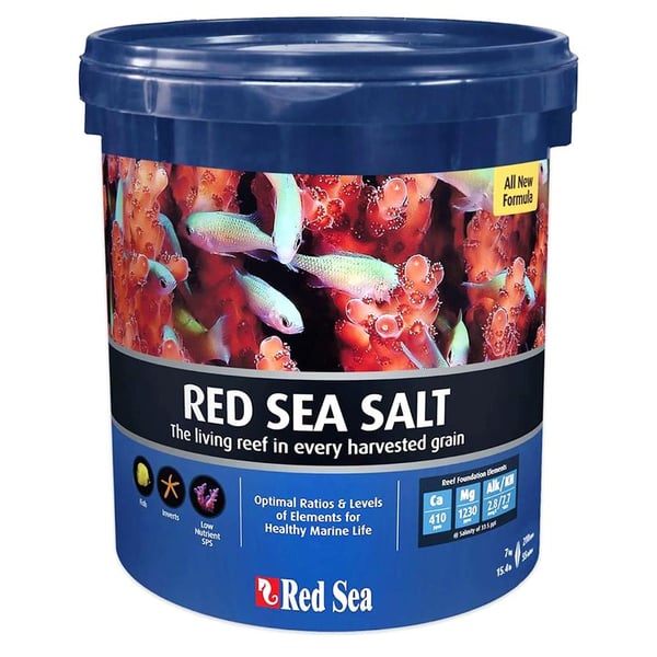 Red Sea Salt price in Bahrain, Buy Red Sea Salt in Bahrain.
