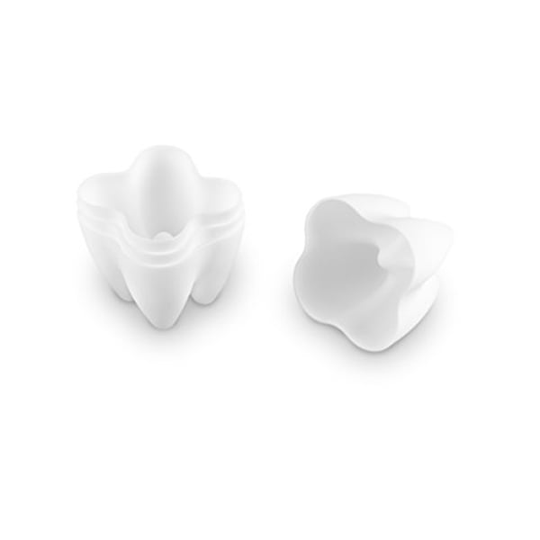 Buy Fred & Friends Fred Sweet Tooth Baking Cups, Set Of 4 – Online in ...