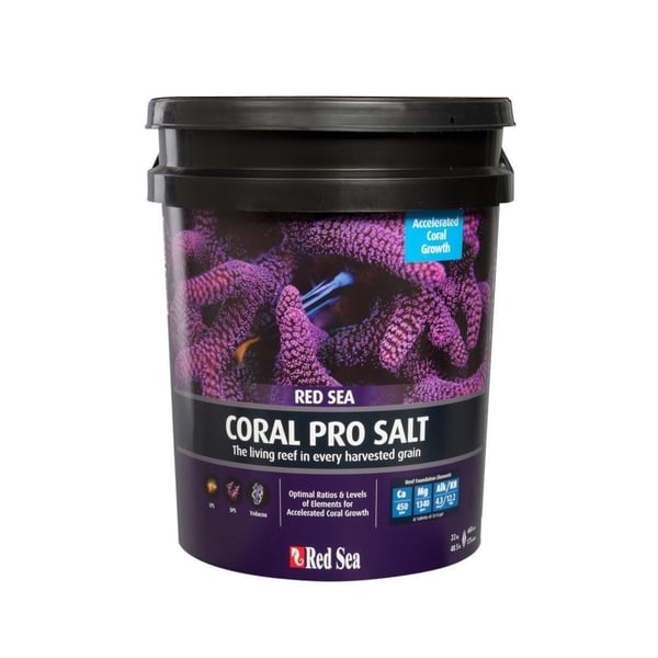 Red Sea Coral Pro Salt (22 kg) Online Shopping on Red Sea Coral Pro ...