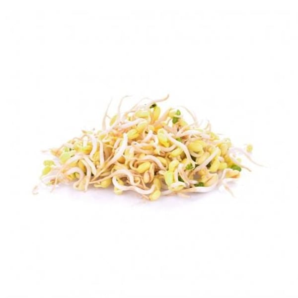 Buy Beans Sprout 500g (UAE) Online in UAE | Sharaf DG