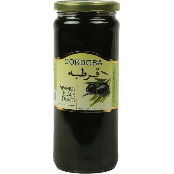 Cordoba Plain Black Olives 285g Online Shopping on Cordoba Plain Black Olives 285g in Muscat ...