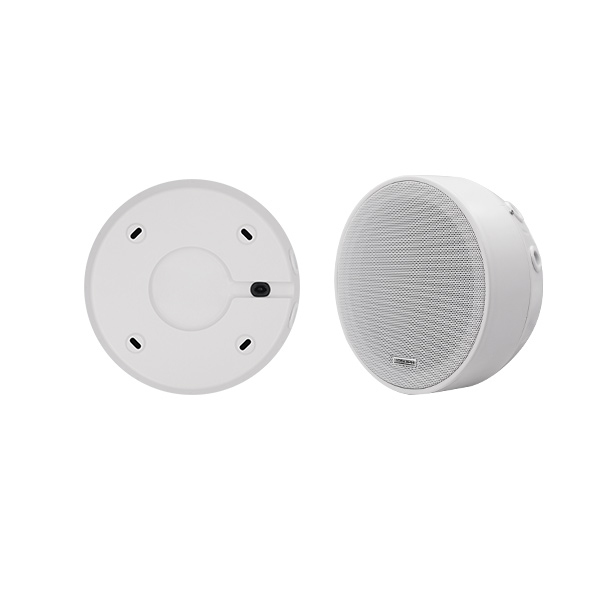 Buy Dsppa Dsp5311 6w Surface Mount Ceiling Speaker Online in UAE | Sharaf DG