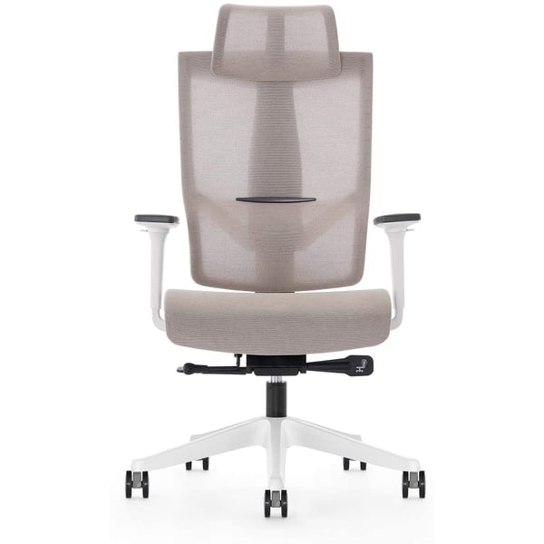 Buy Navodesk Aero Mesh Ergonomic Chair, Premium Office & Computer Chair ...